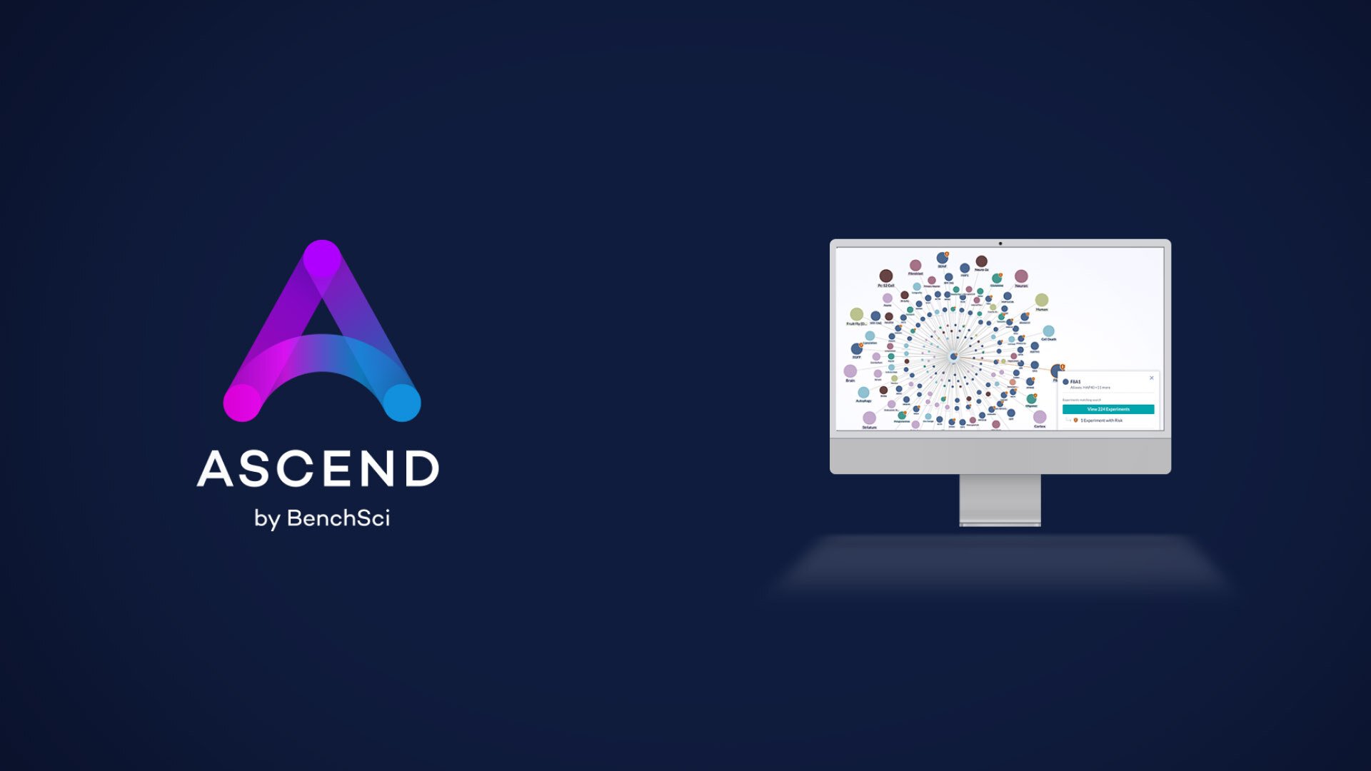 Introducing ASCEND™ by BenchSci, our innovative new AI platform with the power to transform ...